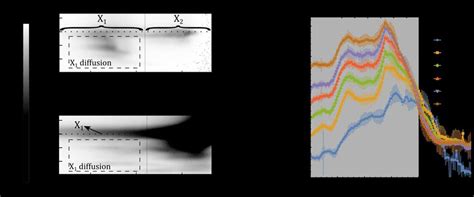 Spectrally And Spatially Resolved Diffusion Pattern At νe 0 73 Vg Download Scientific