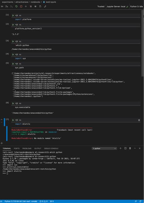 Vs Code Does Not Change To Selected Interpreter Issue Microsoft Vscode Jupyter Github