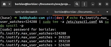 system limit for number of file watchers reached [solved] bobbyhadz