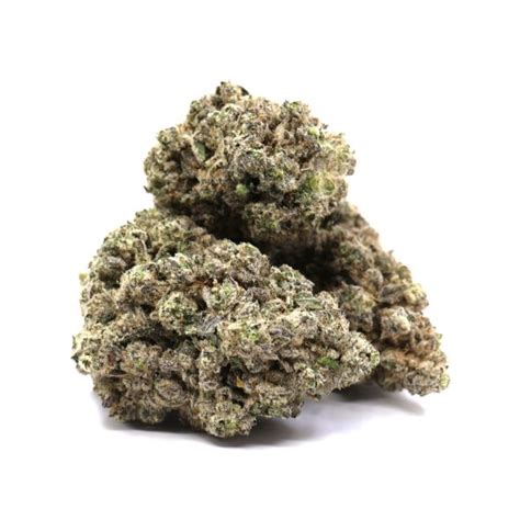 Jungle Fire Naked Canada