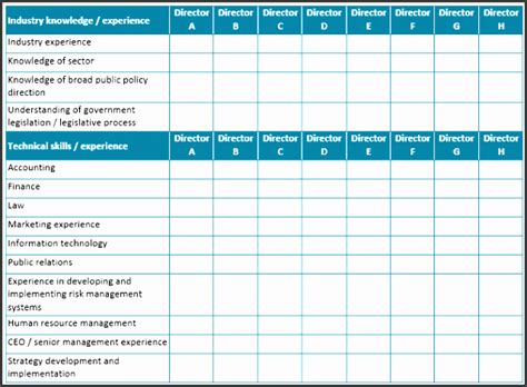 Board Skills Assessment Worksheet