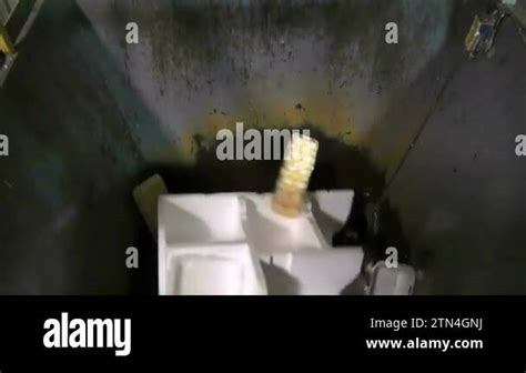 Plant Environmental Dump Dirty Pollution Recycling Garbage Industrial Recycle Plastic Being