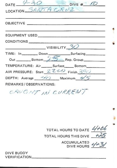 Covediver S Log Tales From The Logbook Adrift At Santa Cruz Island