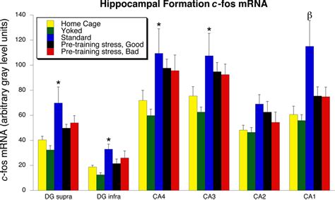 C Fos Mrna Expression In The Dorsal Hippocampus 30 Min Following The