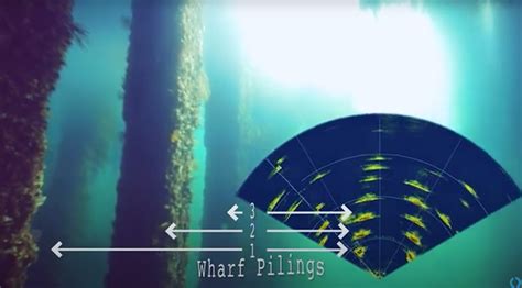 Sonar Sound Navigation And Ranging Charpie Underwater Robotics Thrusters And Cables