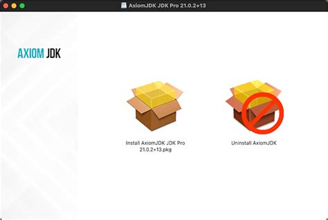 Руководство по установке Axiom Jdk 210214