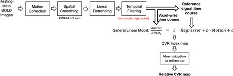 Diagram Shows Analysis Steps For The Resting State Cerebrovascular Download Scientific Diagram