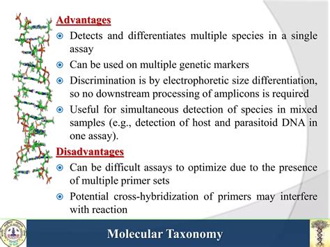 Molecular Taxonomy Pptx