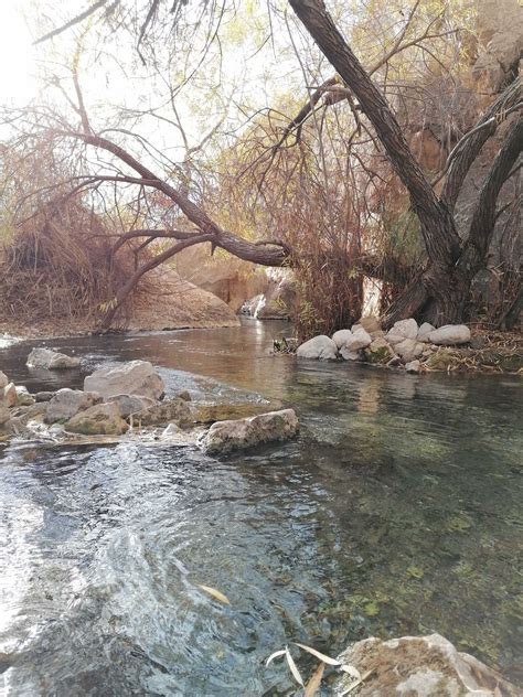 Massih Sedigh Rahimabadi On Linkedin برخیز و مخور غم جهان گذران خیامدائما یکسان نماند دور