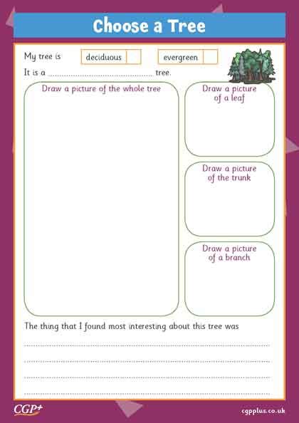 Parts Of A Tree Year CGP Plus