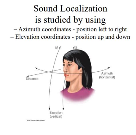 Ps Sound Localization Flashcards Quizlet