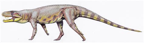 Teratosaurus Fossil Wiki Fandom Powered By Wikia