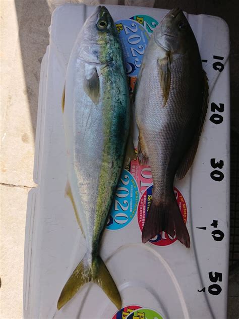 釣果報告 ゲシのボート釣り