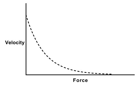 What Is Velocity Based Training Sportsmith