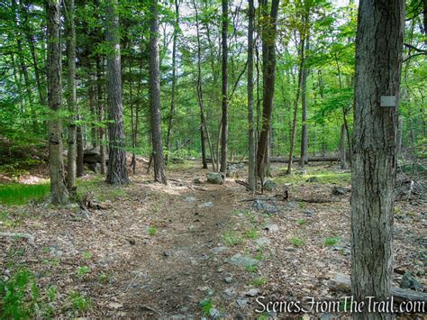 Black Rock Mountain Loop From White Bar Trailhead Harriman State Park