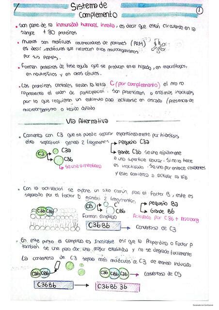 Sistema De Complemento Virginia Castro Udocz