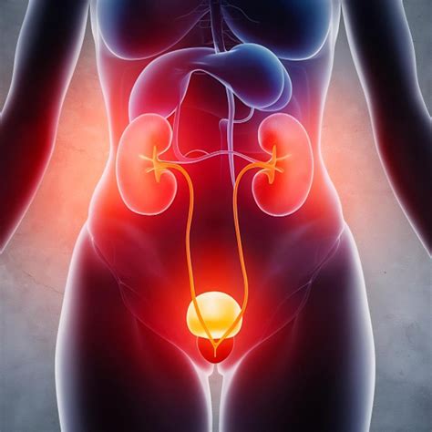 Urinary Tract Infection Uti Symptoms Causes And Treatment Synlab Nigeria
