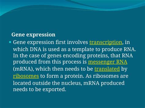 FUNCTIONS OF CELL ORGANELLES For Biologist Ppt