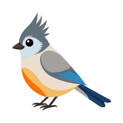 Premium Vector Illustration Of A Titmouse Bird On White