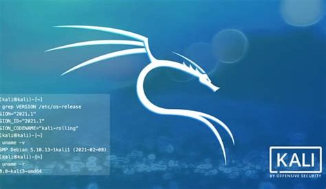 Kali Linux Interview Questions Essential Questions For Security Professionals Techaid24