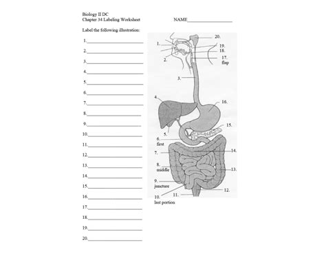 Chapter 34 Biology Labeling Quiz