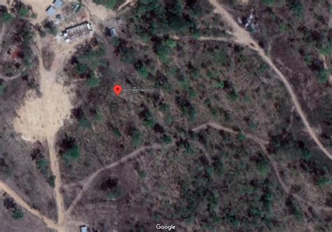 စစ်ကိုင်းတိုင်းအတွင်း မြေဧက သုံးသိန်းနီးပါရှိသော နယ်မြေကို မဟာမြိုင်တောရိုင်းတိရစ္ဆာန