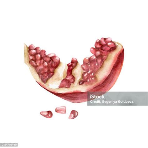 빨간 석류는 씨앗으로 반쯤 익었다 수채화 그림입니다 이국적인 신선한 과일 클립 아트 주스 포장 디자인 라벨 화장품 장식 소스 병 로고에 대 한 건강 식품 요소 건강한 생활