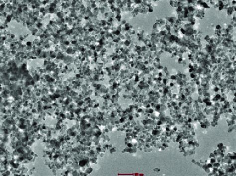 Tio 2 Nanoparticles Morphology In 14 500 Magnifications Download Scientific Diagram