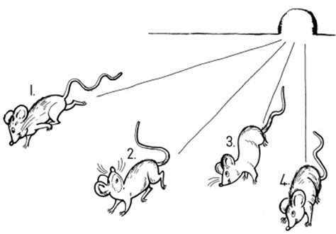 Educator Section Get Clever With Numbers Module 6 0 By Openstax