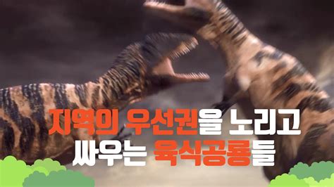 공룡의 땅 지역의 우선권을 노리고 싸우는 육식공룡 Zum Tv