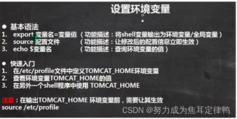 Linuxshell编程2内含：1设置环境变量2位置参数变量3预定义变量运算符4条件判断linux一个环境变量指定两个参数 Csdn博客