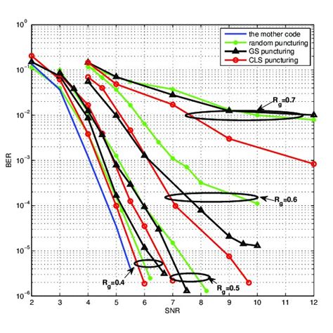 ber performance of rc jtncs with random puncturing gs puncturing and