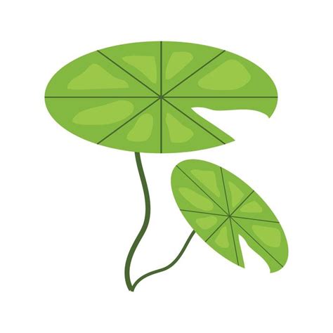 Page 2 Lily Pad Outline Vector Art Icons And Graphics For Free Download