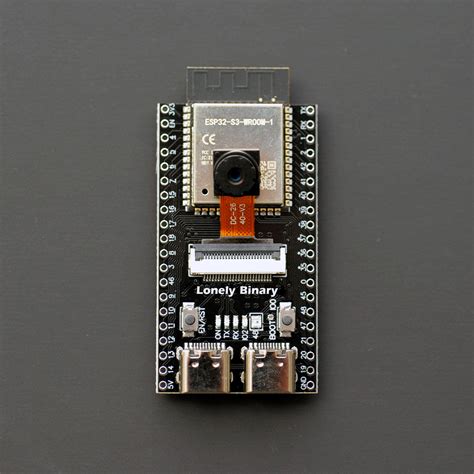 esp32 s3 camera lonely binary