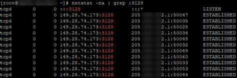 quicktip need to check the active connections to your squid proxy server red stag technica