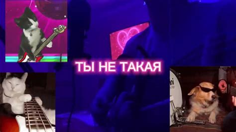 Валентин Стрыкало Ты не такая кавер Youtube