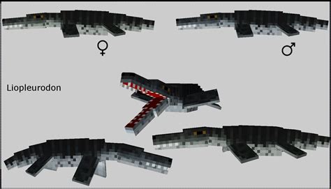 Liopleurodon Fossils And Archeology Mod Revival Wiki Fandom