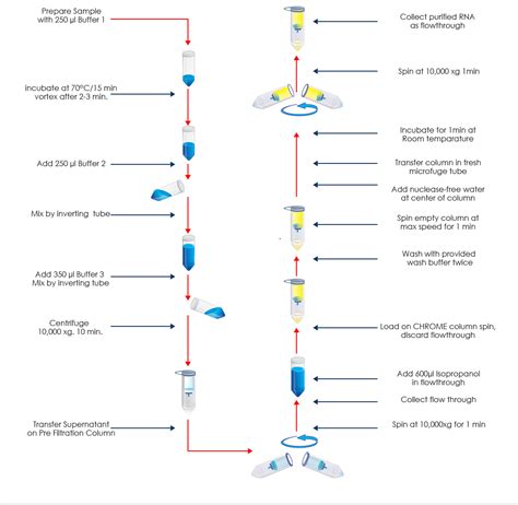 Gsure Plasmid Kit