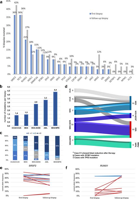 Mutation Frequencies And Clonal Evolution A Mutational Spectrum And Download Scientific