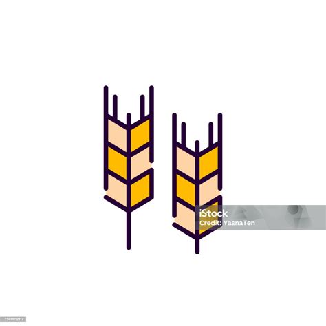 밀 곡물 수확 아이콘의 귀 픽셀 완벽 편집 스트로크 라인 아트 아이콘 농업에 대한 스톡 벡터 아트 및 기타 이미지 농업 개념 건강한 생활방식 Istock