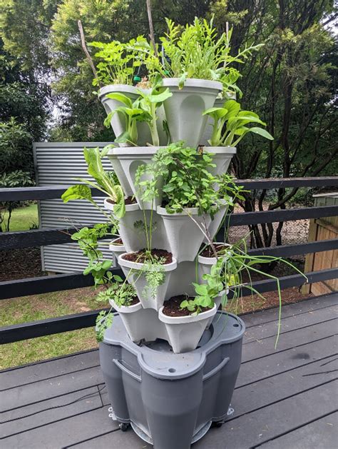 Mr Stacky Hydroponic Smart Farm Review Agt