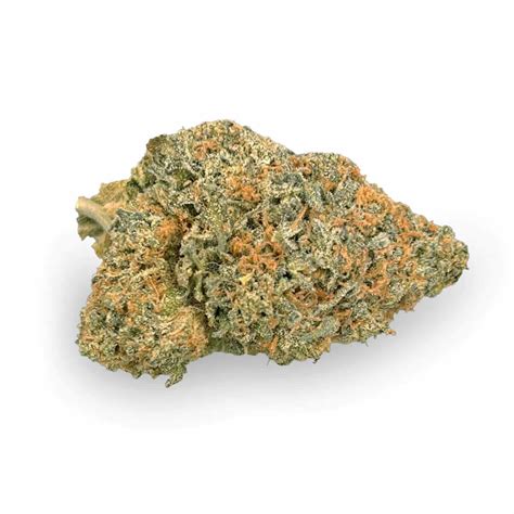 Tangerine Dream Bc Medi Chronic