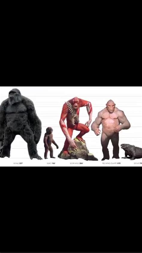 Gxk New Concept Art Rmonsterverse