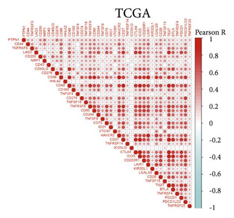 Expression Patterns Of 47 Types Of Immune Checkpoints And Their