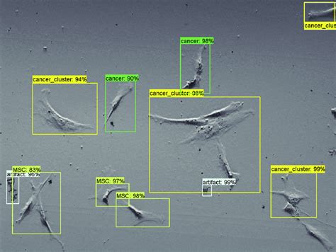 An Example Of Gray Scale Image With Localized And Recognized Objects Download Scientific