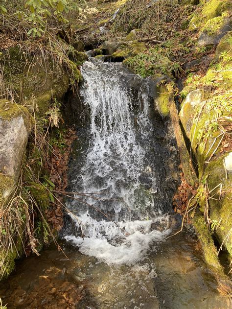 52 B57 A6 F 7 E98 40 C4 8901 C7 E4 E691 E8 E2 Hosted At Imgbb — Imgbb