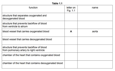 Igcse Biology 0610 92 Heart Igcse Style Questions Paper 4