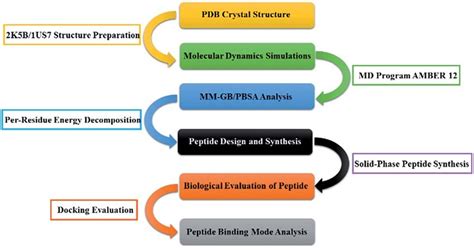 workflow of peptide discovery from computational start to biological