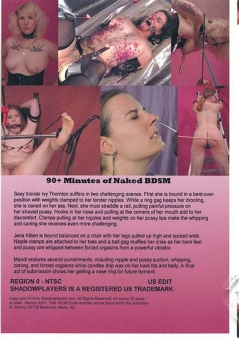 Watch Painful Predicaments 4 With 6 Scenes Online Now At Freeones