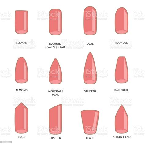 손톱에 흰색의 다른 모양의 집합입니다 손톱 모양 아이콘 폴란드어 매니큐어 벡터 일러스트 레이 션 다양에 대한 스톡 벡터 아트 및